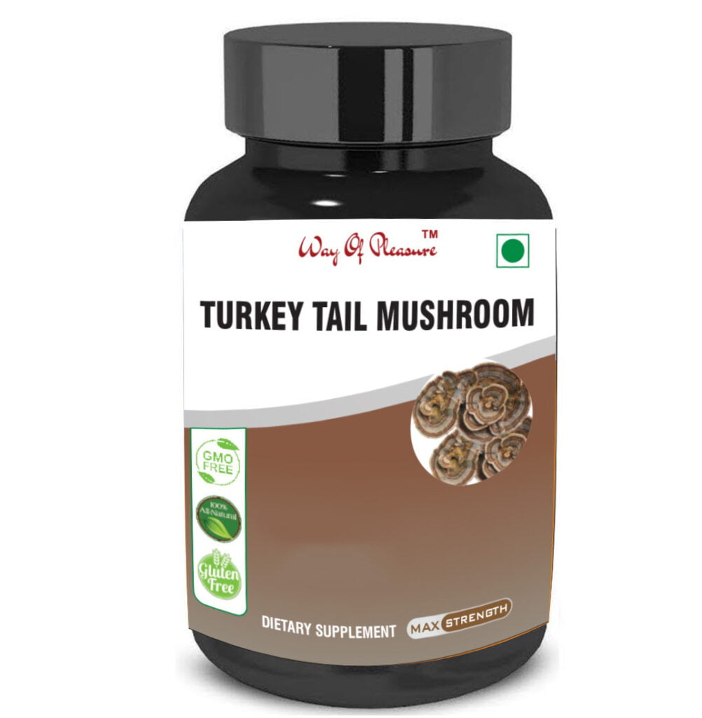 Turkey Tail Capsules For Digestive Health.