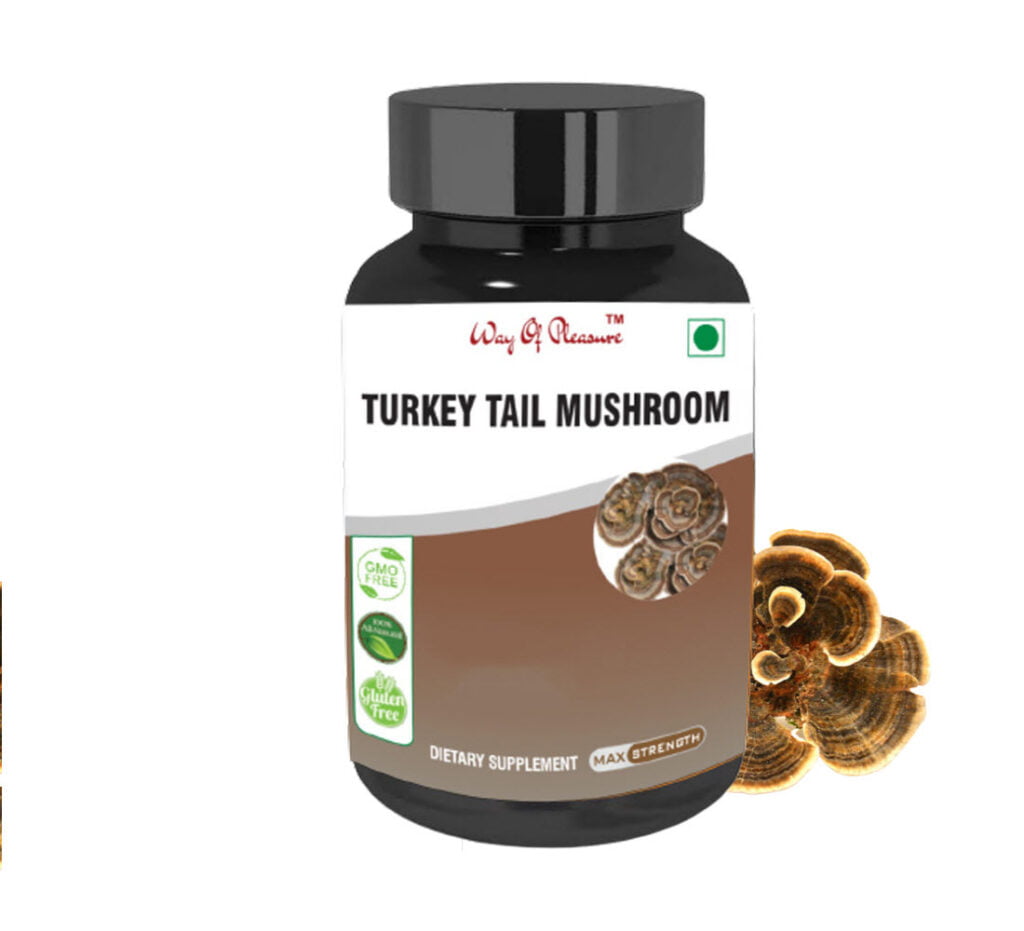 Turkey Tail Capsules For Digestive Health.